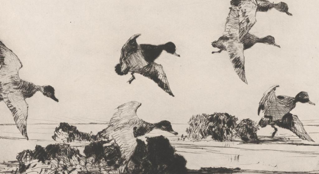 Speech Marks Blowing in the Wind – Sarah Owl Jewett